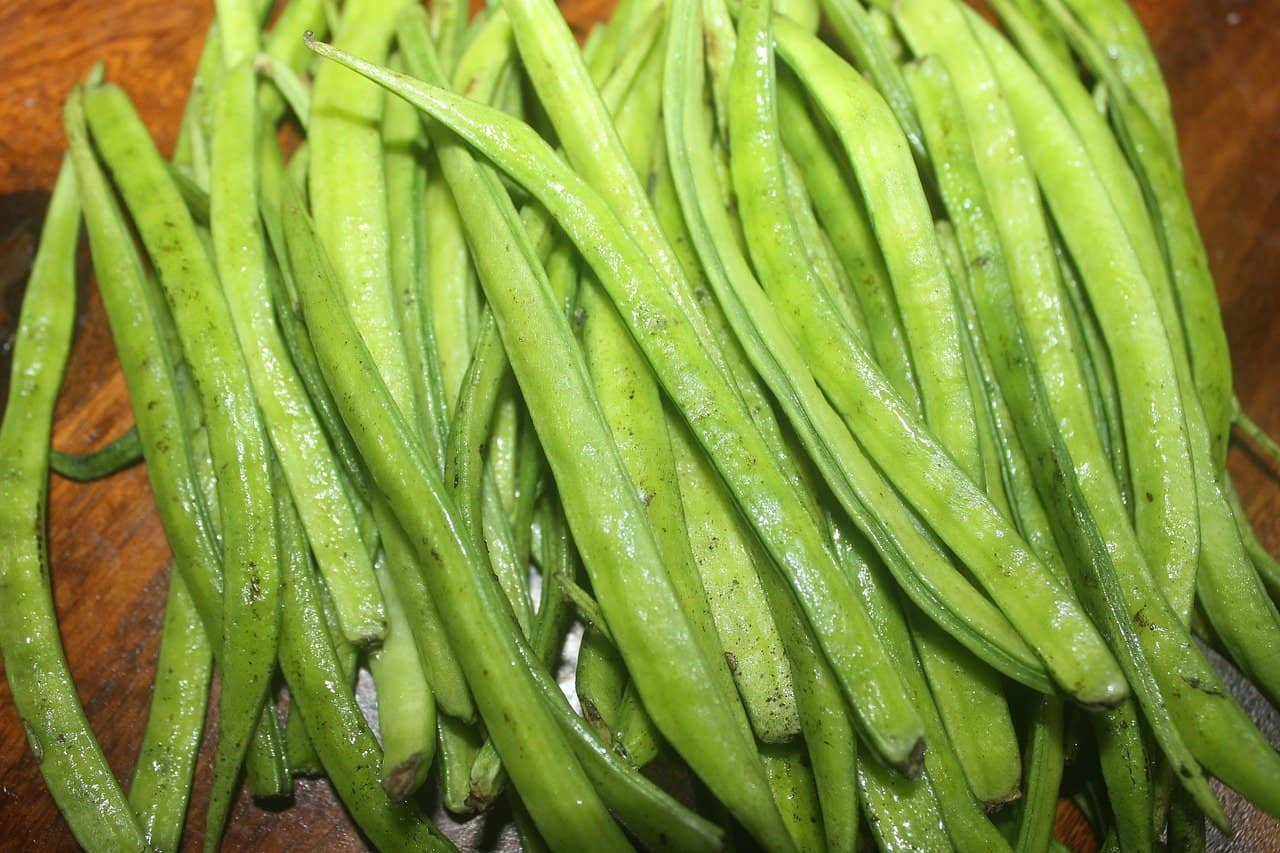 Why Guar Is Such A Prevalent Ingredient In Cosmetic Products – Guar ... Why Guar Is Such A Prevalent Ingredient In Cosmetic Products – Guar ...